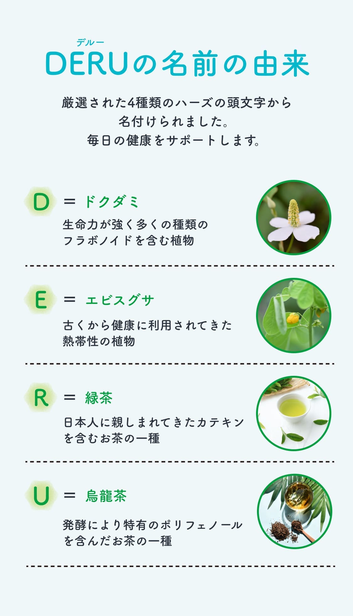【DERU(デルー)】毎日のスッキリをサポート